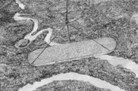 Melton Prior Institut